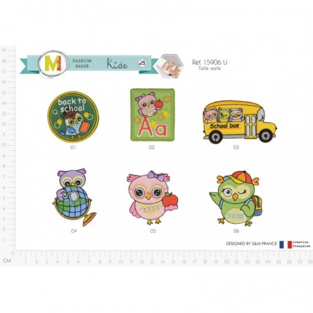 Écusson Rentrée des Classes Hibou Vert