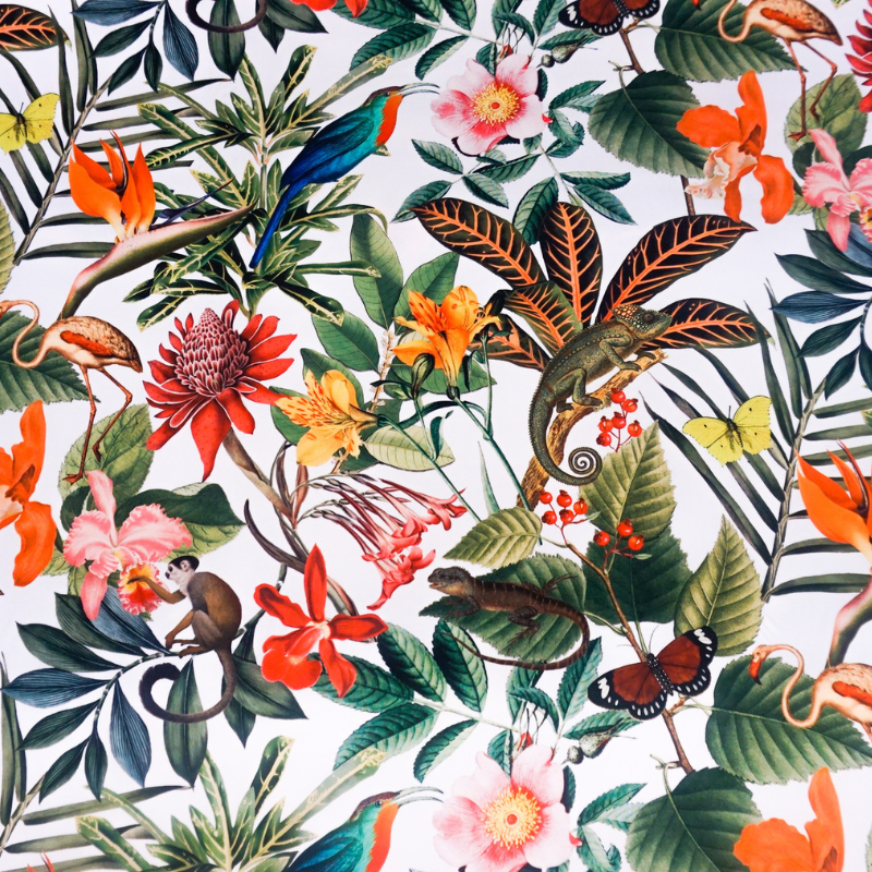 Tissus d'extérieur et toiles de bâches déperlantes et imperméables